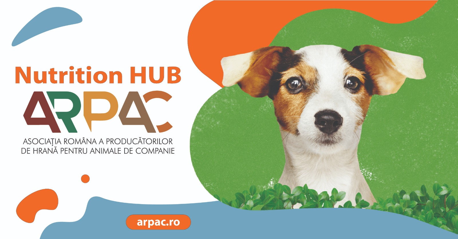Despre nutriția animalelor de companie, la Radio Itsy Bitsy - arpac.ro
